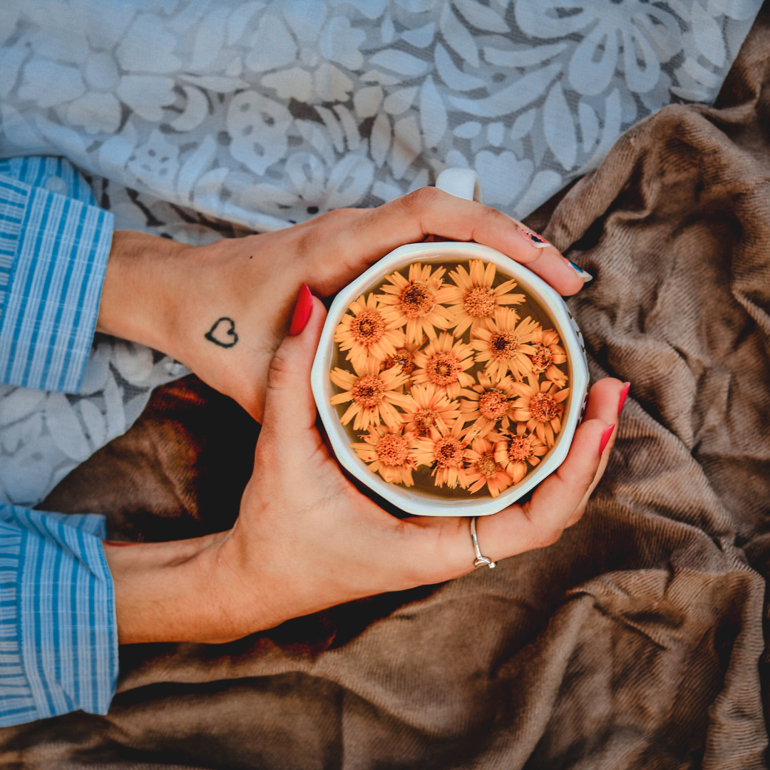 Startseite - Susan Faust